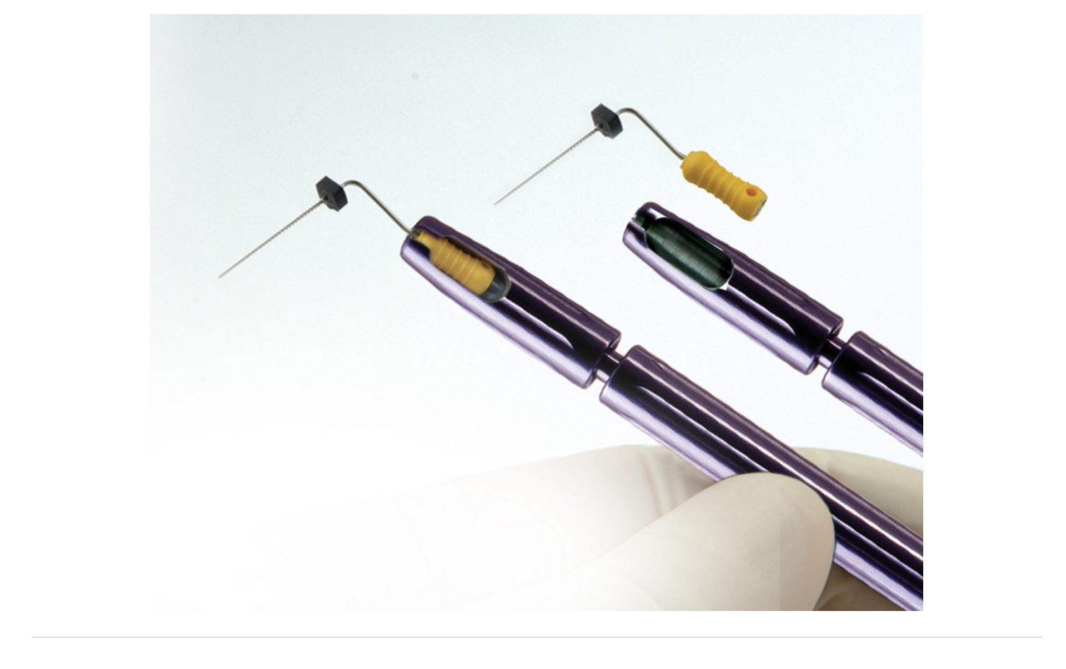 The Value of the Hedstrom File – Venta Endo