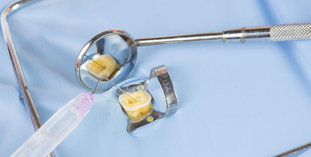 Start with the EndoHandle – Venta Endo